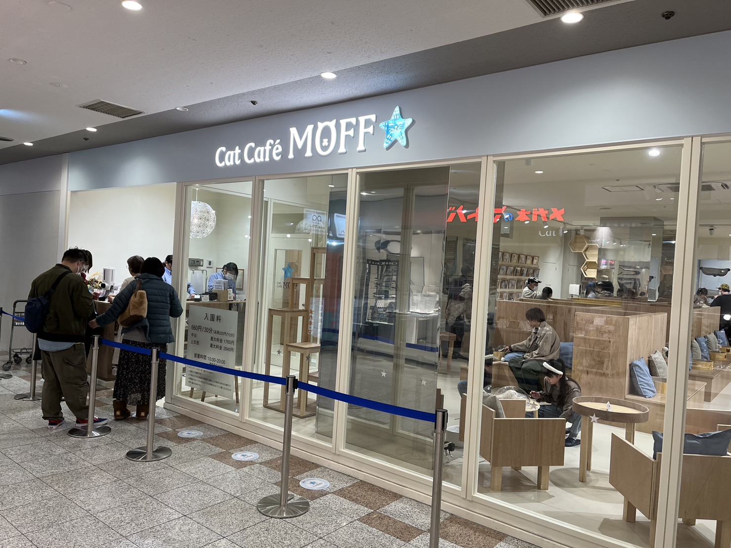 つかしんにしまちに『Cat Cafe MOFF』が12/14にオープンしています！ | 尼崎チャンネル